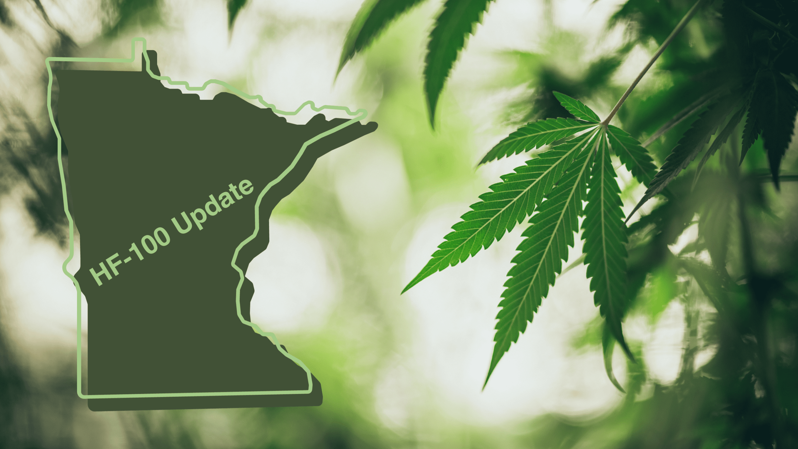 The Power is Yours: What to Expect with Cannabis in Minnesota | Strains ...