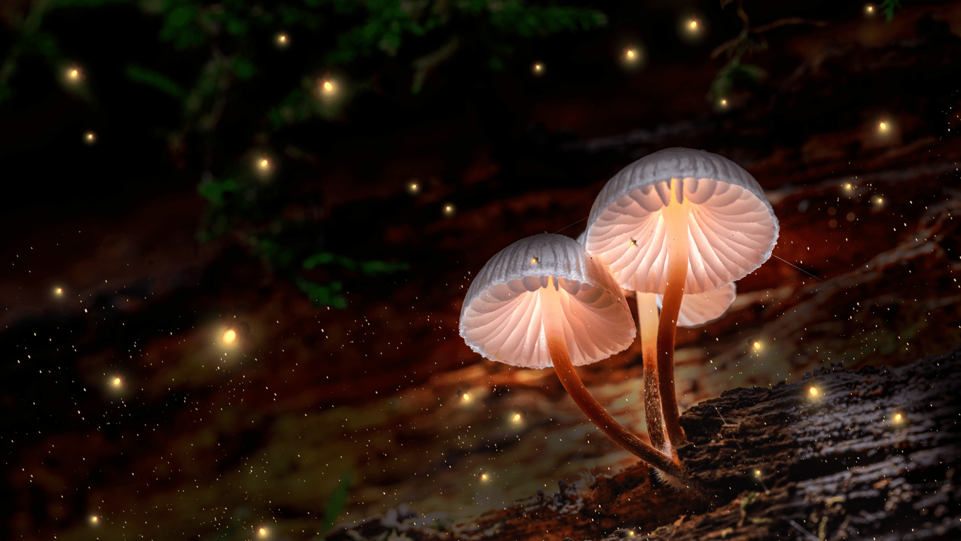 The Fungi Connection: A Look at Mushrooms in Pop Culture | Strains of ...
